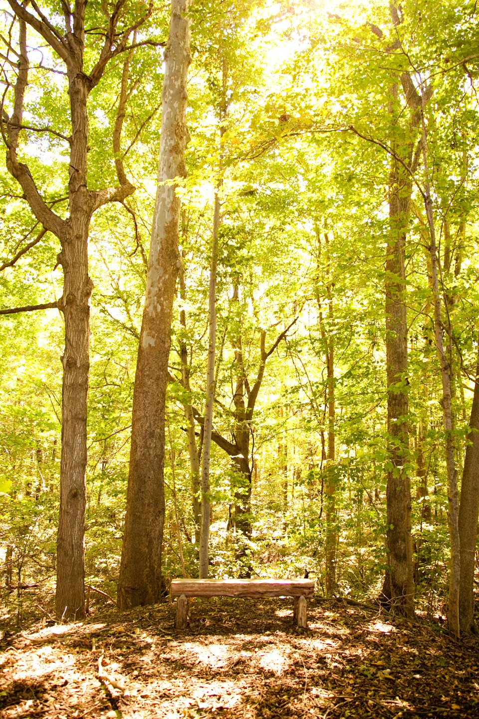 A Sweetheart Getaway - The Sweetest Occasion