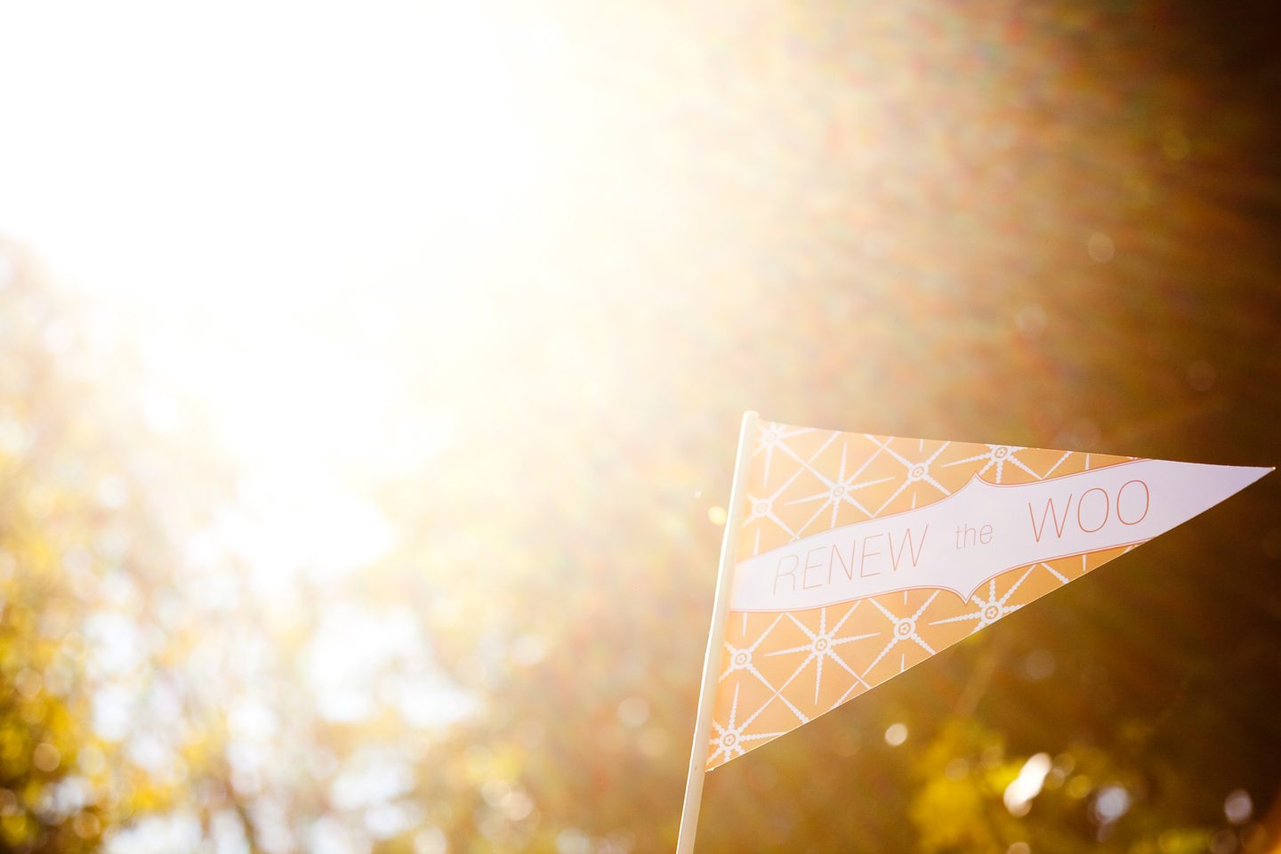 A Sweetheart Getaway - The Sweetest Occasion