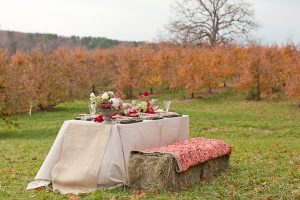A Pretty New England Thanksgiving - The Sweetest Occasion