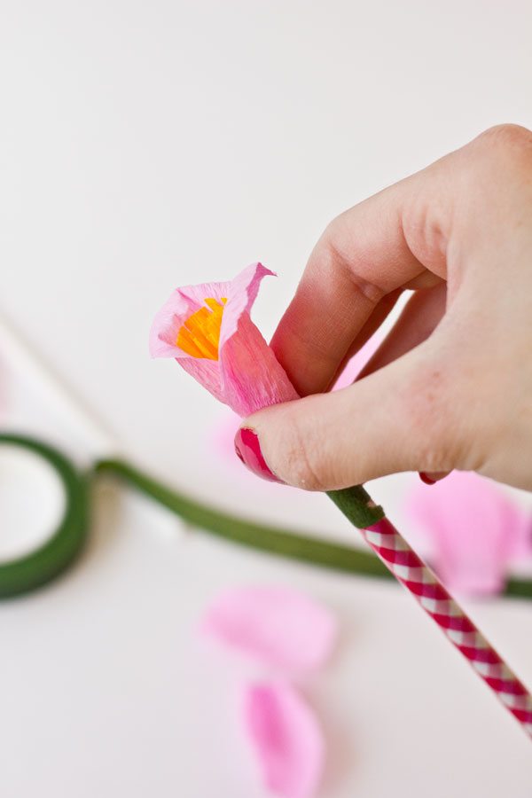 DIY Paper Flower Pencils - The Sweetest Occasion