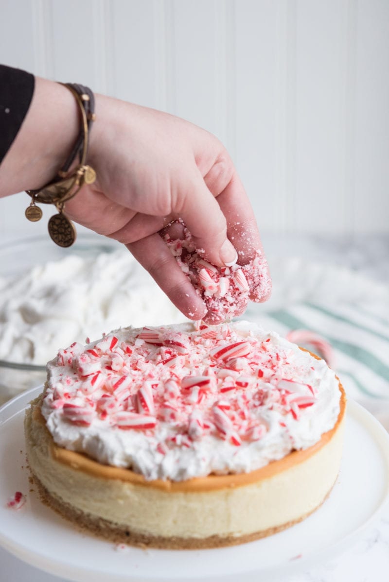 The Easiest Christmas Cheesecake Hack - The Sweetest Occasion